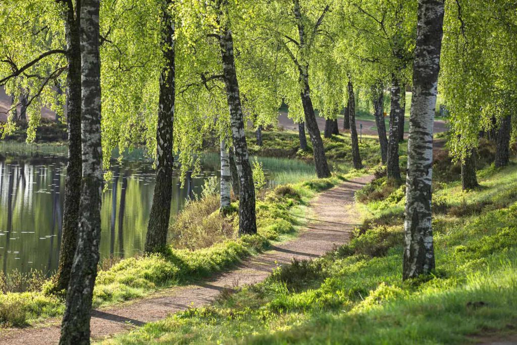 Getting started with ground source heat pumps - Oil Installer